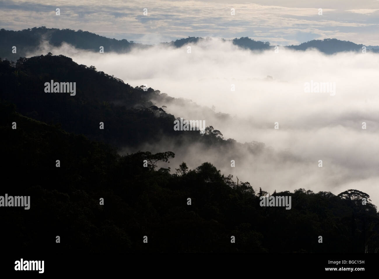 A straggle of ridges and mountains characterise the Kelabit Highlands ...