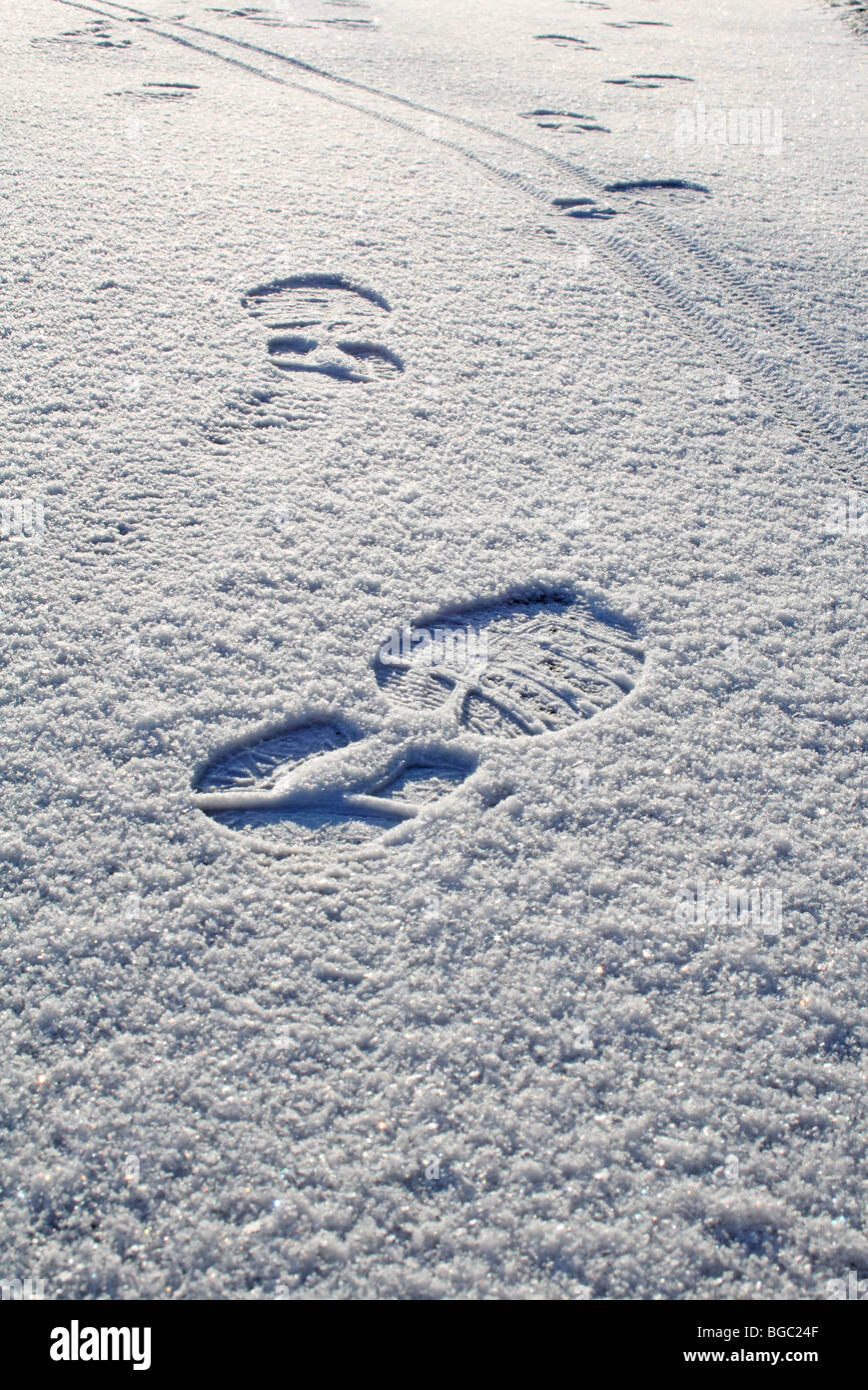 First Snowfall - Footprints and Bicycle Tire Tracks Stock Photo - Alamy