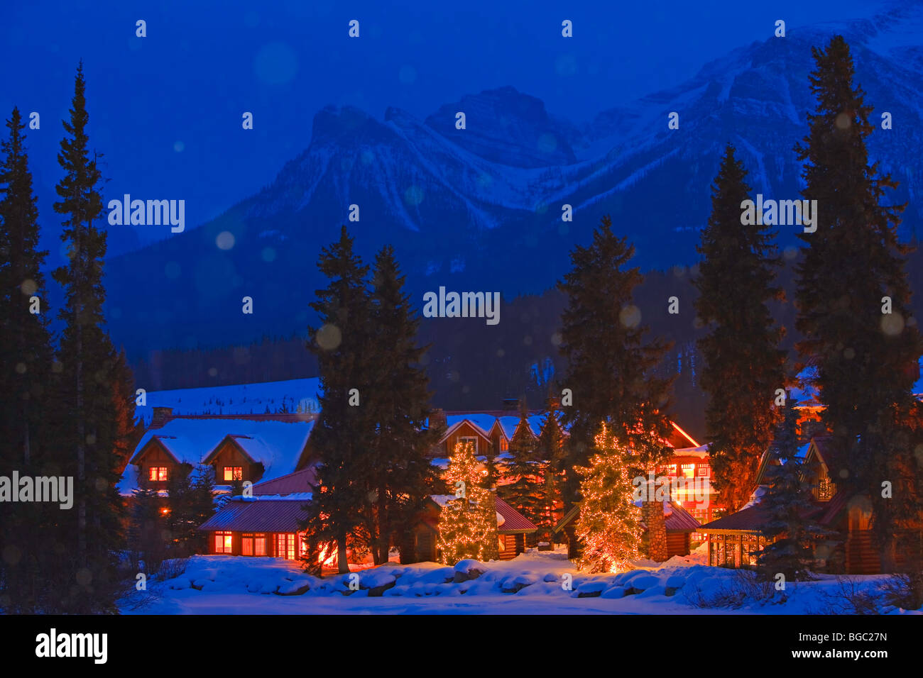 Snow covered trees at lake louise hi-res stock photography and images ...