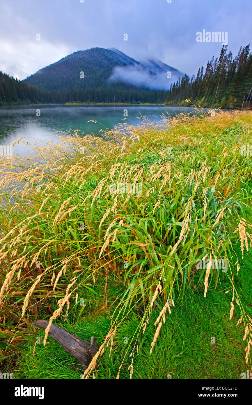 Grass fringed Lightning Lake in Manning Park (E C Manning Provincial ...