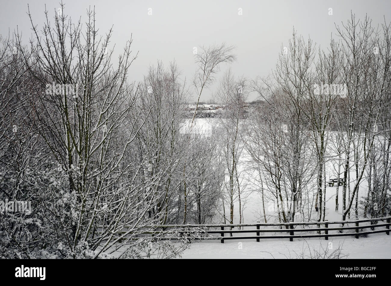 park in winter Stock Photo - Alamy