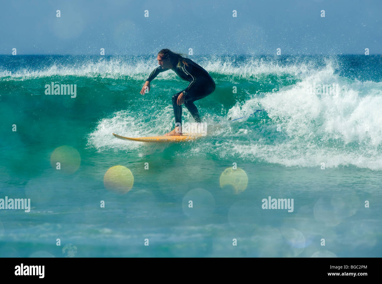 surfer having fun on a wave Stock Photo - Alamy