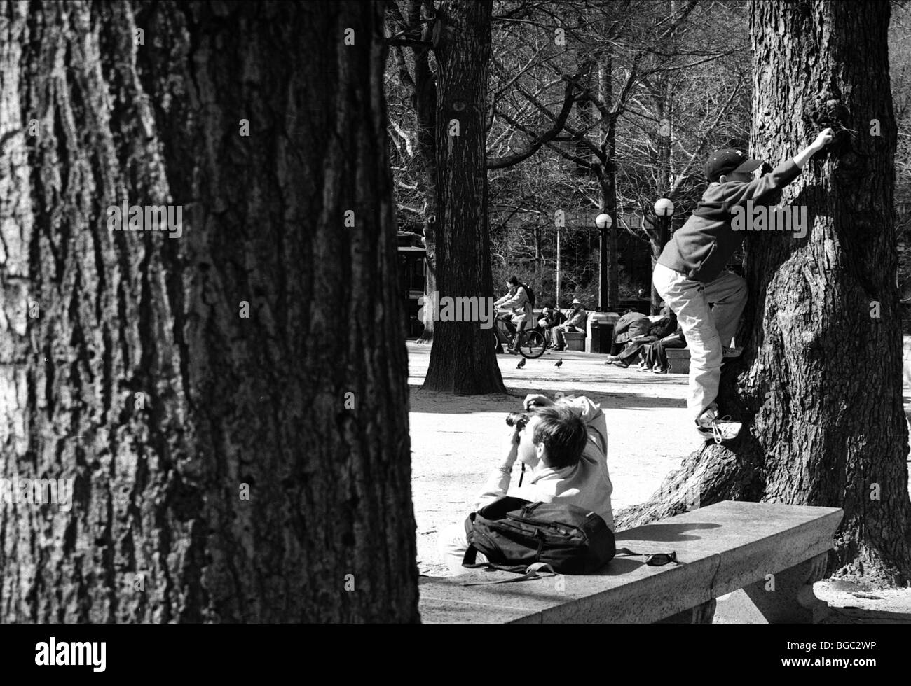 Kid climbing tree Black and White Stock Photos & Images - Alamy