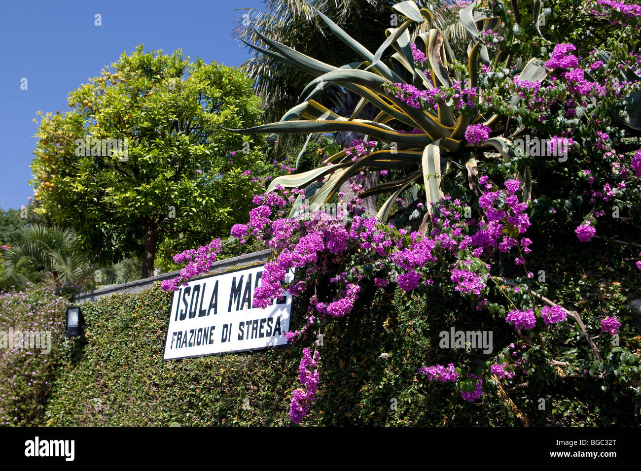 Europe, Italy, Piemonte, Maggiore Lake, Madre island, house, flowers ...
