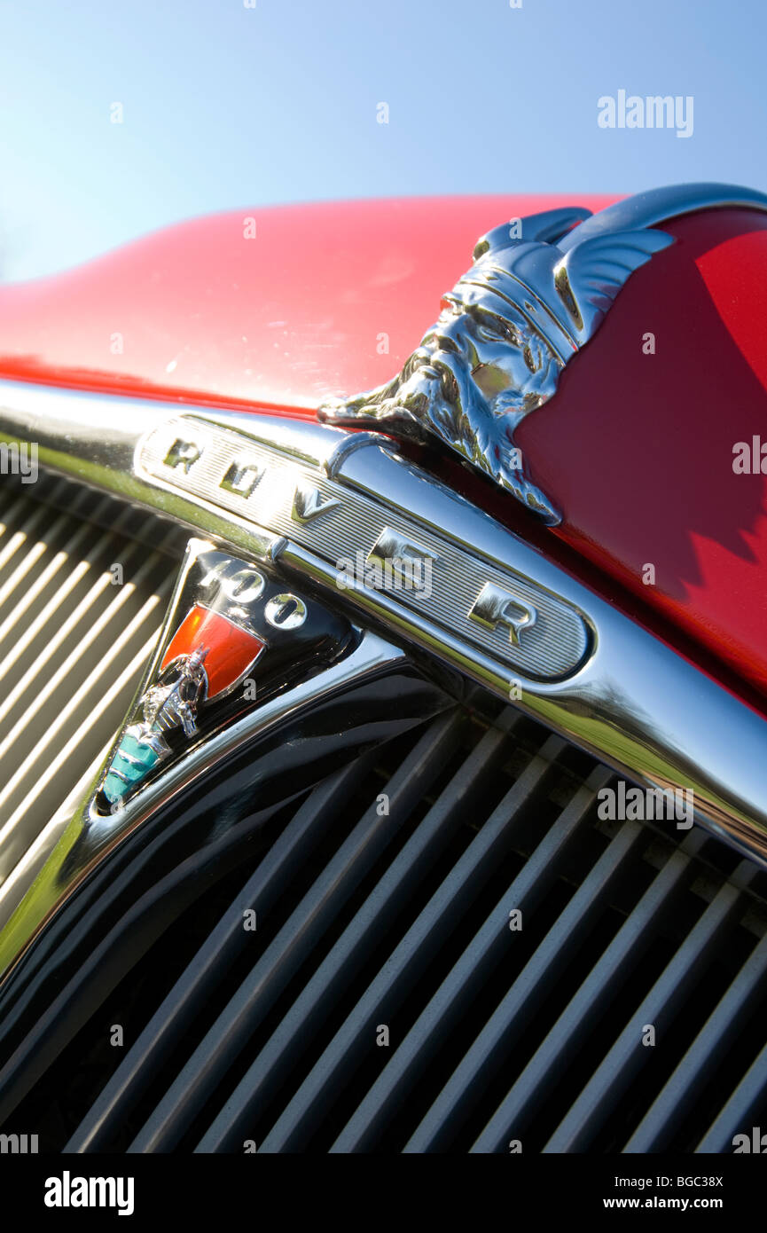Rover Viking ship and head badge on the grill of a P4 100 car Stock ...