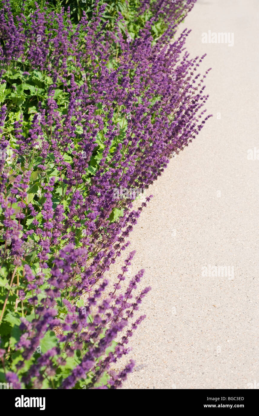 Garden flower border and pathway Stock Photo - Alamy