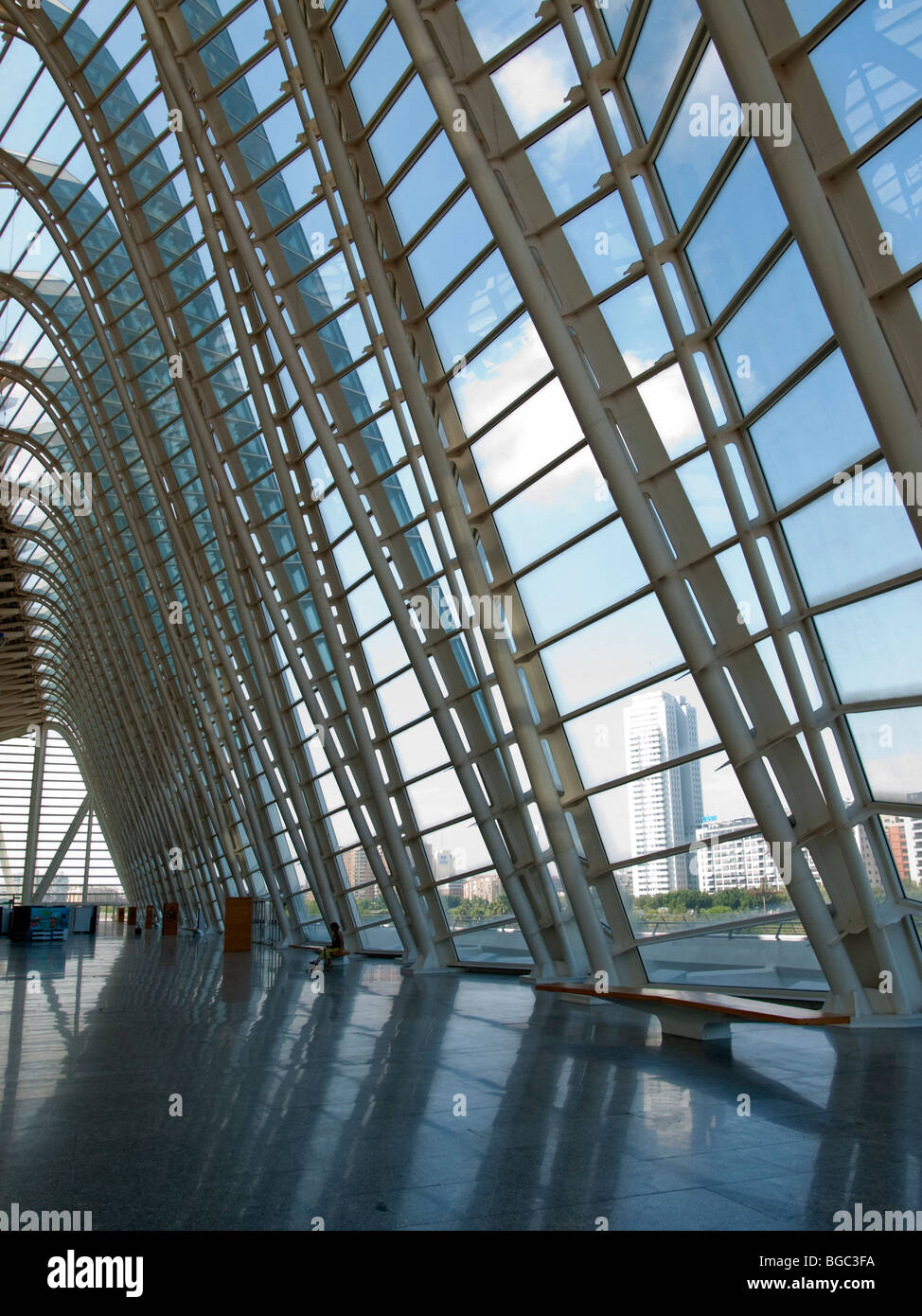 The Príncipe Felipe Science Museum, designed by Santiago Calatrava ...
