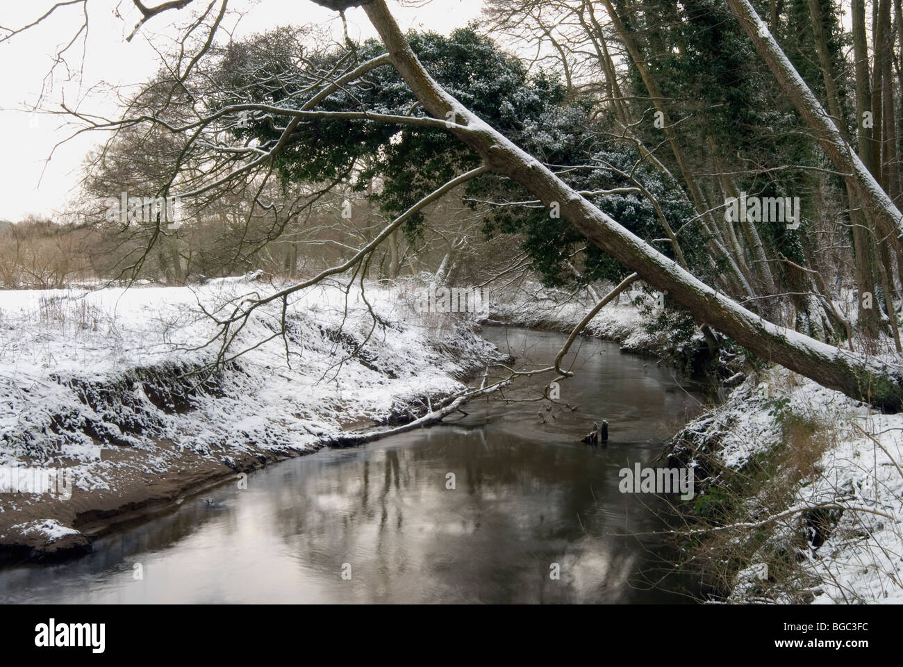 Woodland river snow hi-res stock photography and images - Alamy