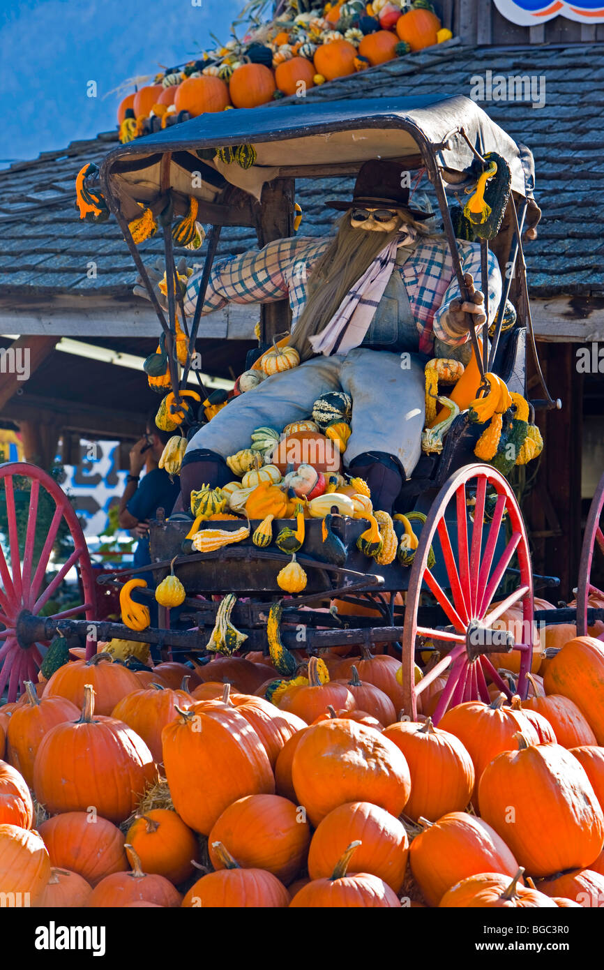 Horse buggy museum hi-res stock photography and images - Alamy