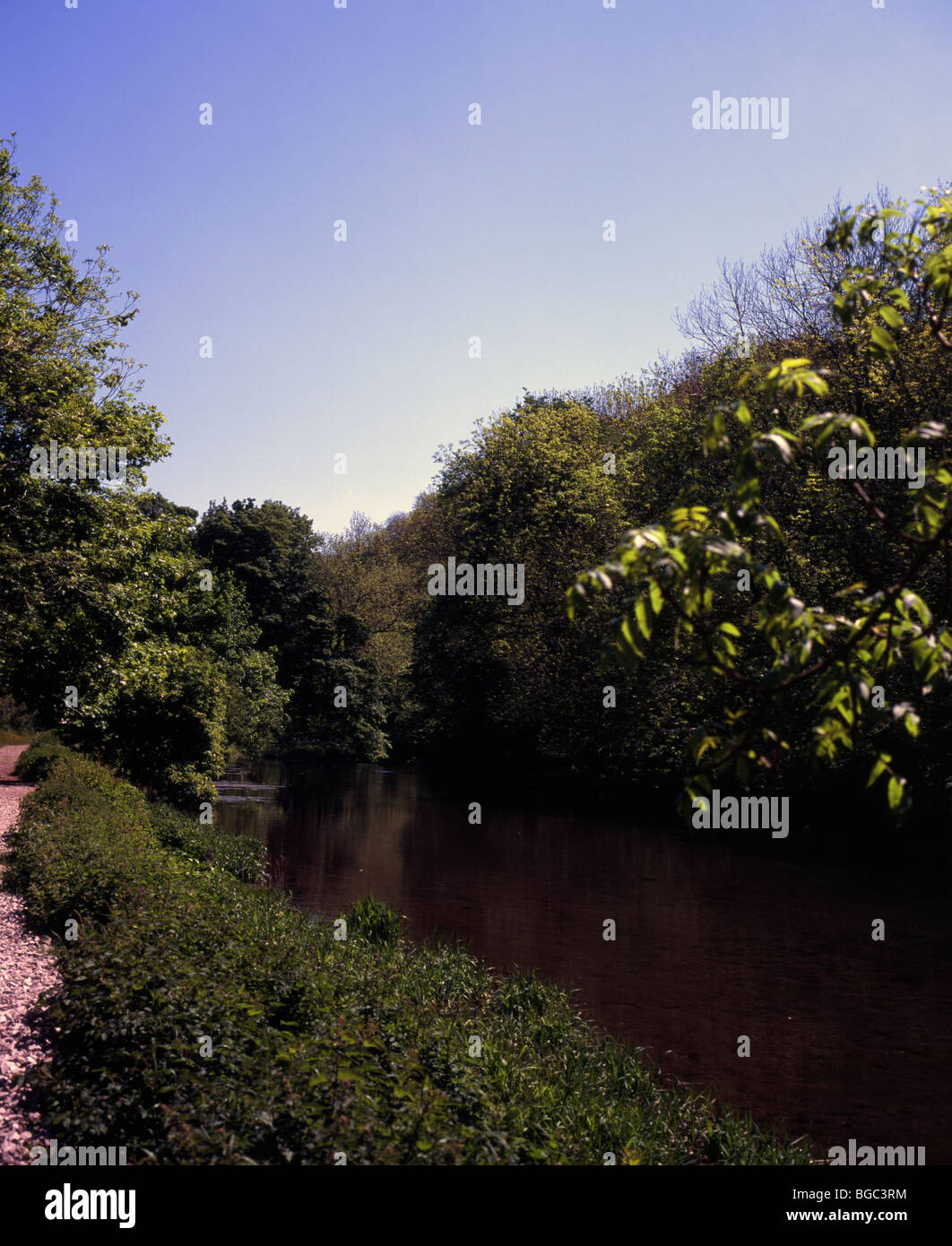 The River Lathkill Lathkill Dale Derbyshire England Stock Photo - Alamy