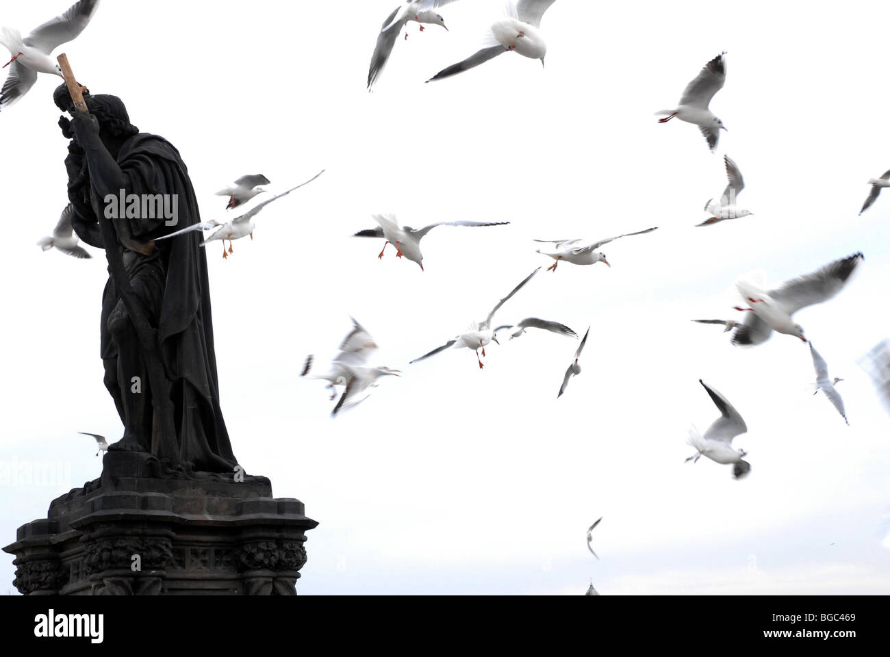 Birds and Statue Stock Photo - Alamy