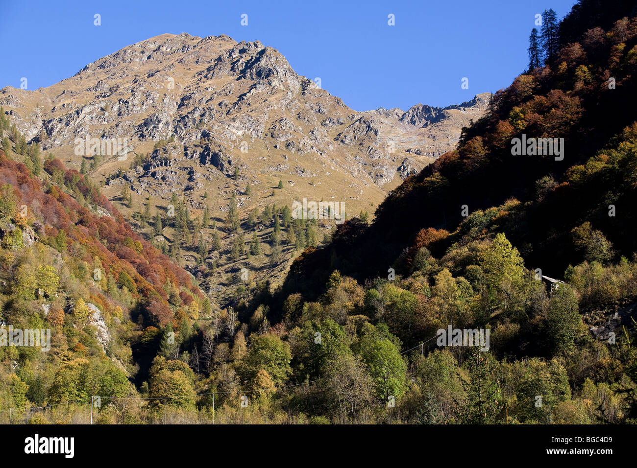 Europe, Italy, Piemonte, Alpi, Valsesia, forest, mountains, autumn ...