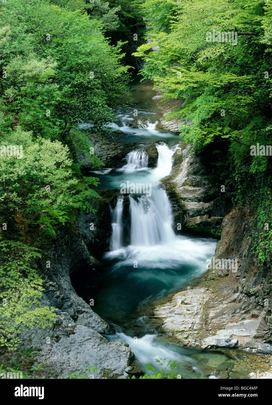 Houmei Falls, Sendai, Miyagi, Japan Stock Photo - Alamy