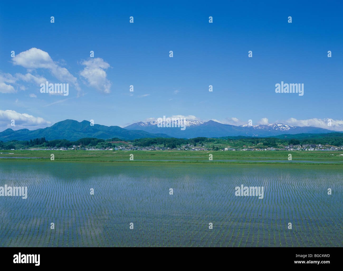 Zao japan hi-res stock photography and images - Alamy