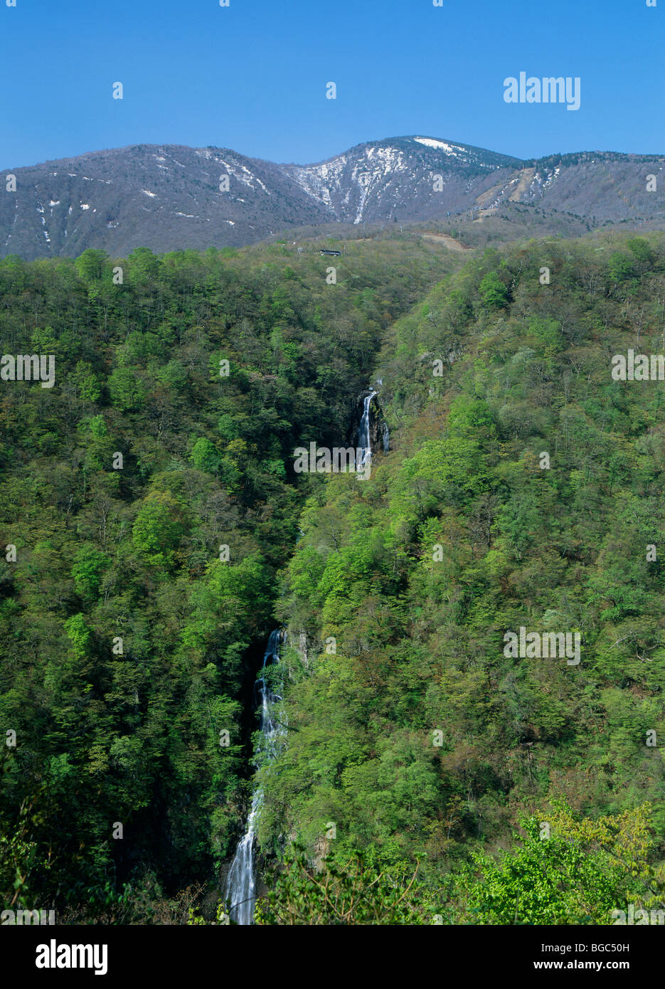 Sankaitaki, Zao, Miyagi, Japan Stock Photo - Alamy