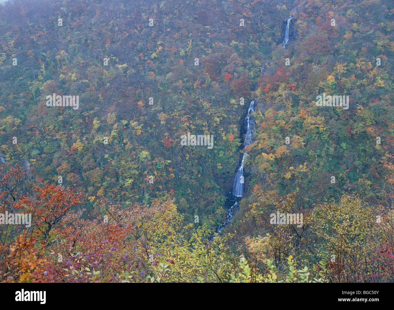 Sankaitaki, Zao, Miyagi, Japan Stock Photo - Alamy