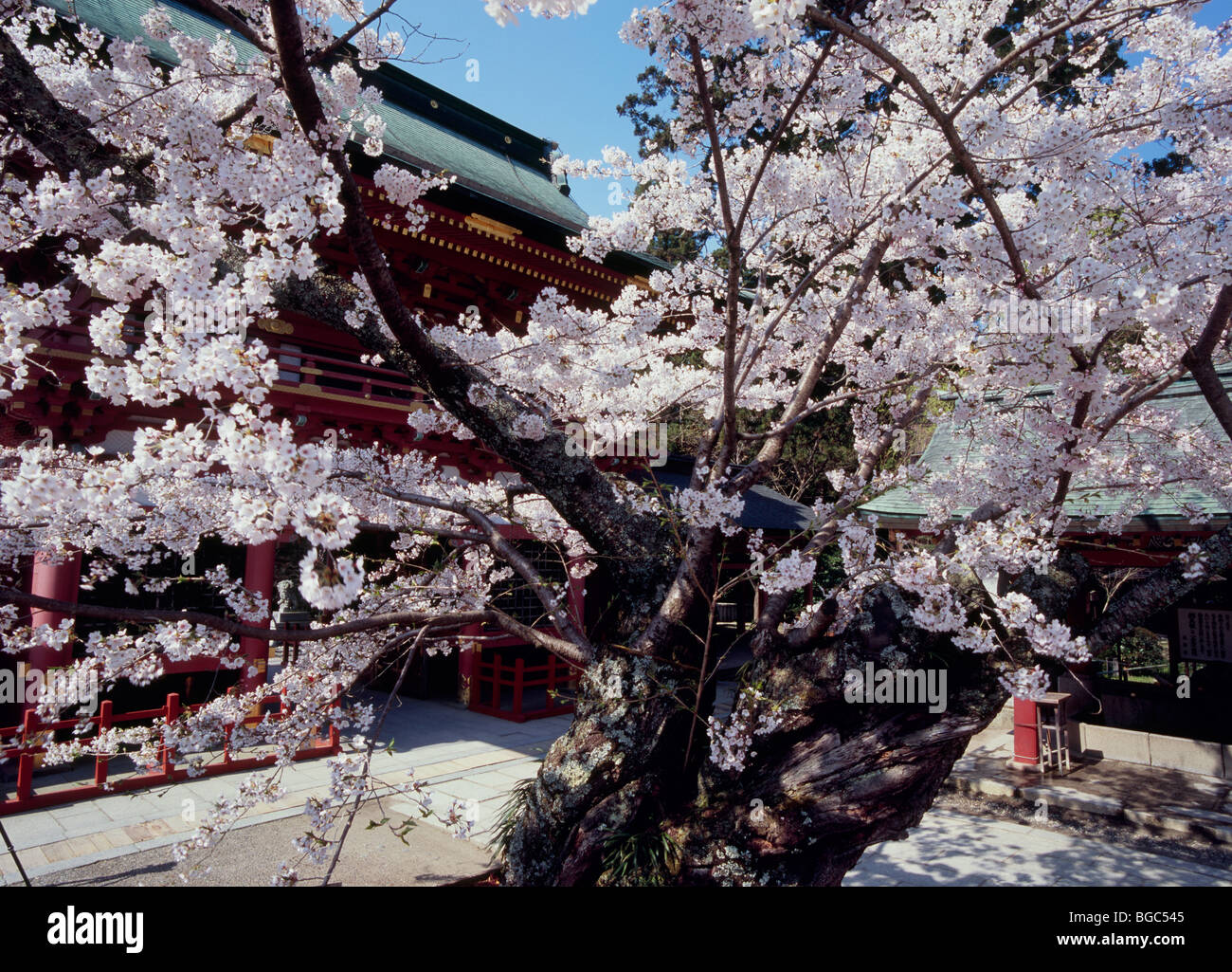 Shiogama Shrine, Shiogama, Miyagi, Japan Stock Photo - Alamy
