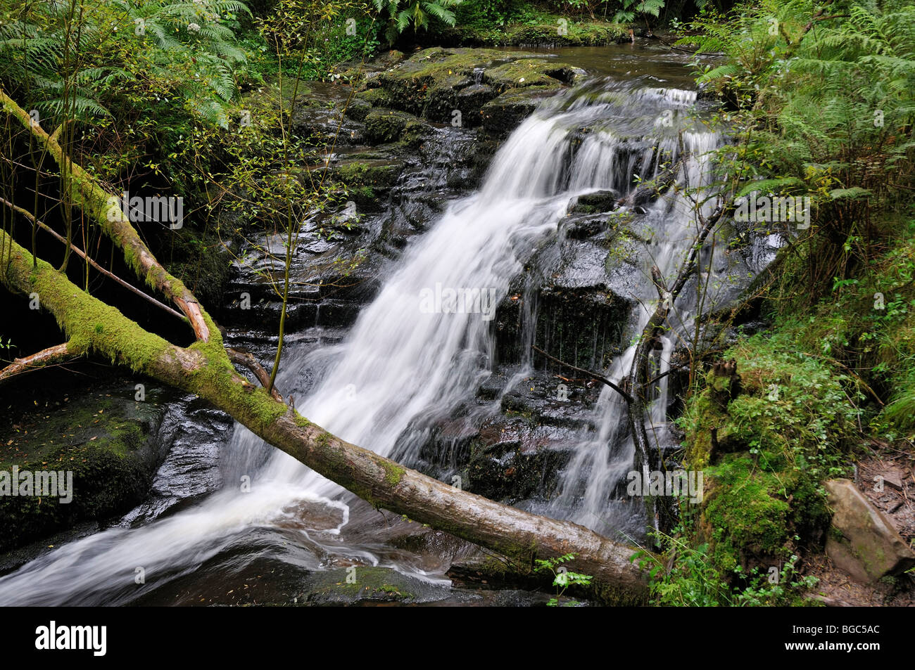 Waterfall on Caerfanell River above Tallybont Reservoir, Brecon Beacons ...