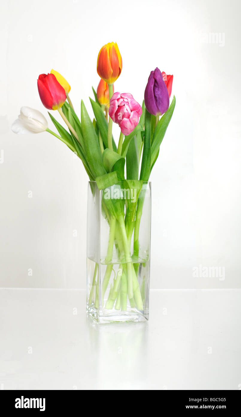 Spring symbols hi-res stock photography and images - Alamy