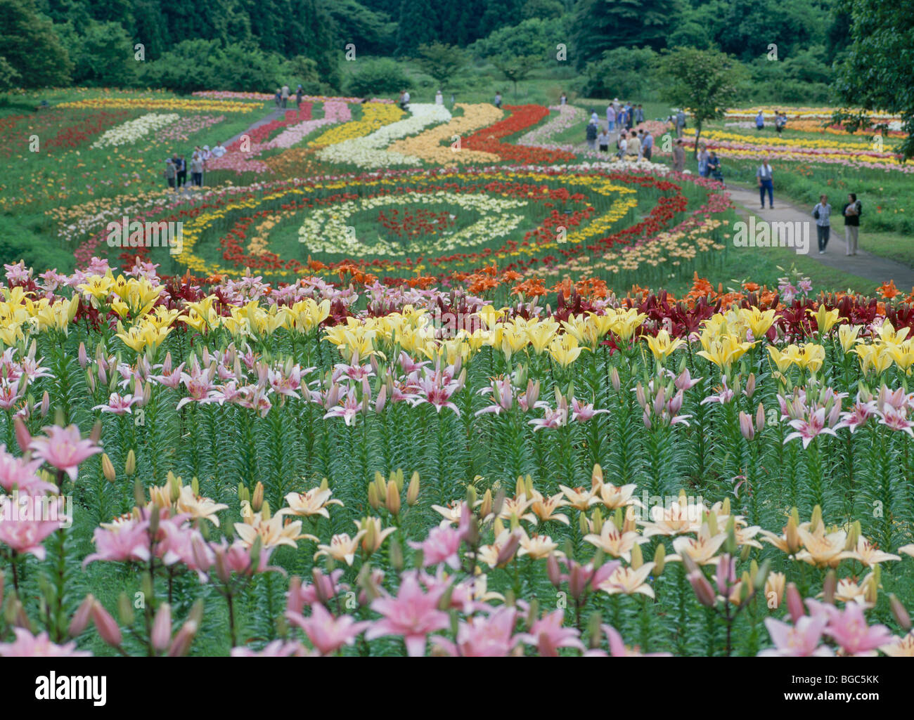 Kurihara hi-res stock photography and images - Alamy