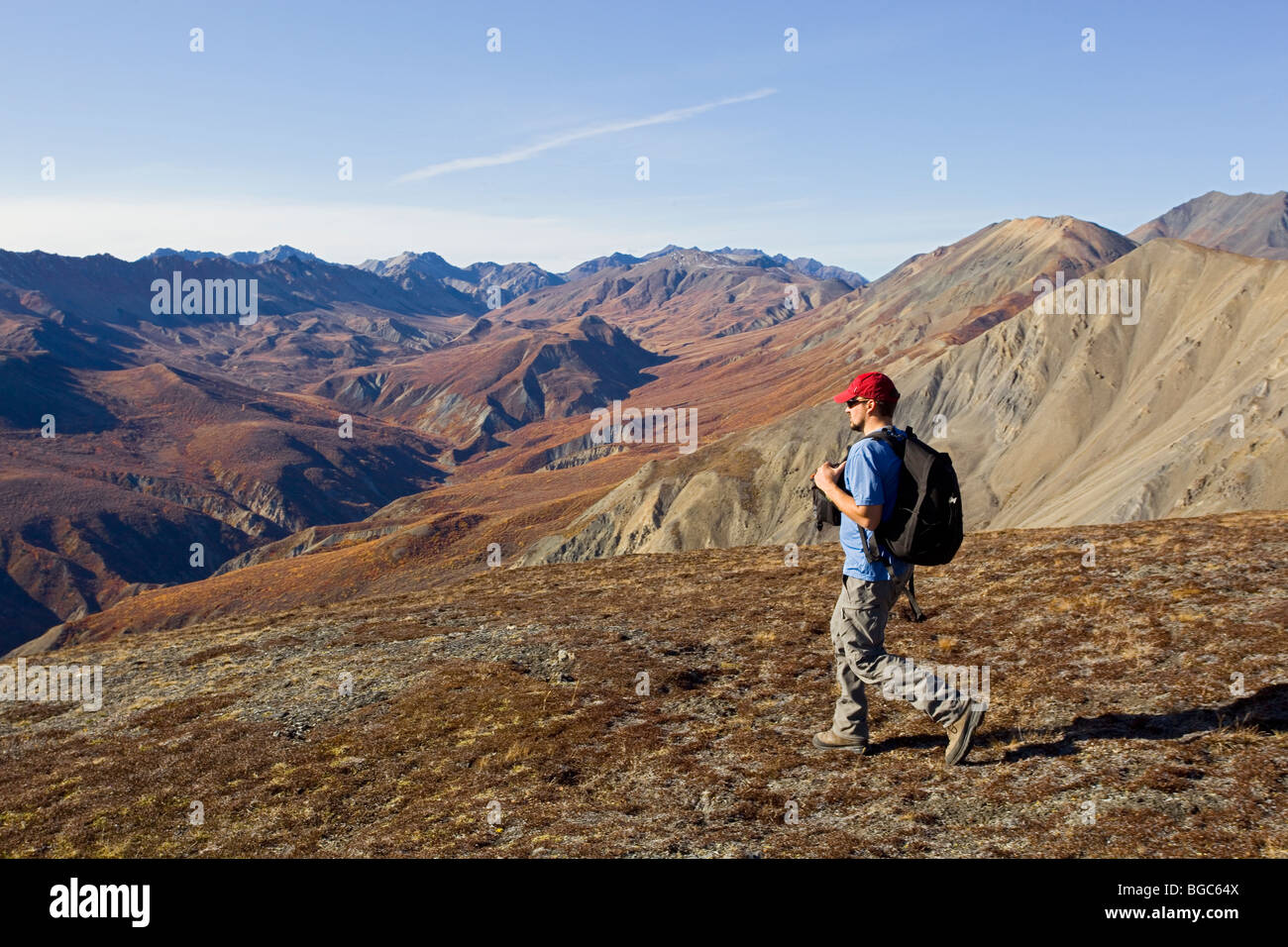 Hiker, man hiking, view from Sheep Mountain to Red Castle Ridge, St ...
