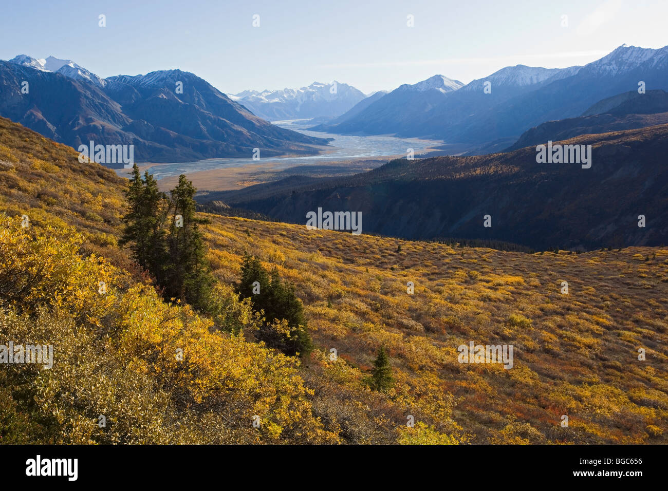 Indian summer, leaves in fall colours, view from Sheep Mountain into ...