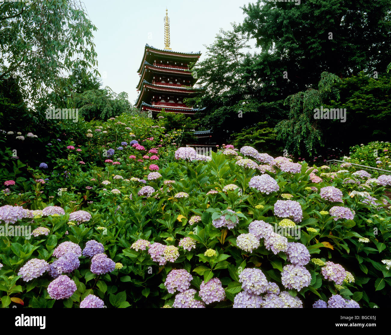 Hondoji, Matsudo, Chiba, Japan Stock Photo - Alamy