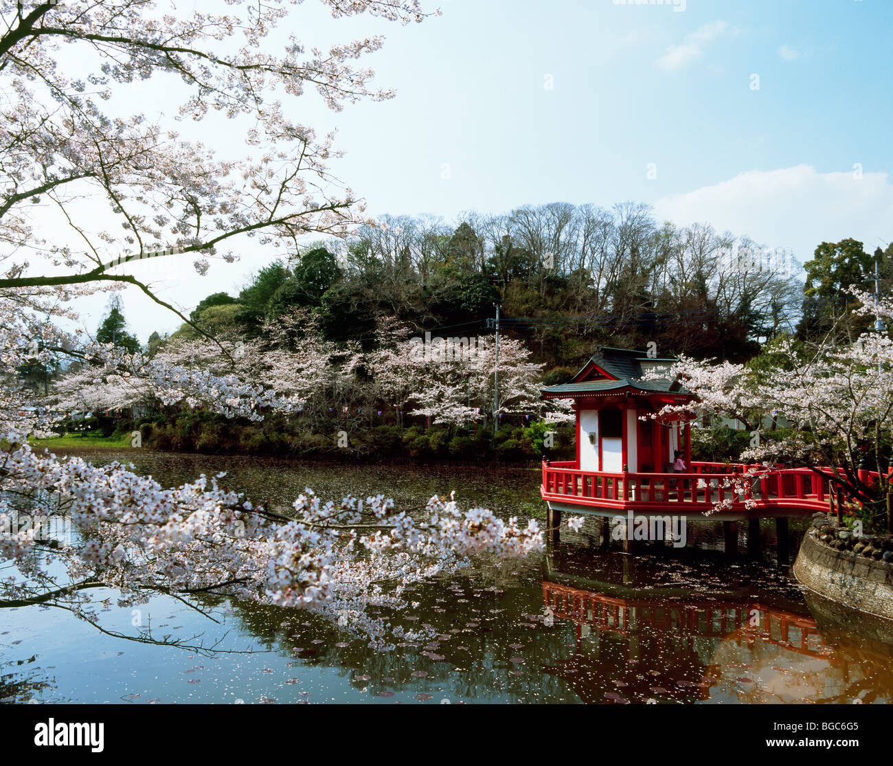 Mobara Park, Mobara, Chiba, Japan Stock Photo - Alamy