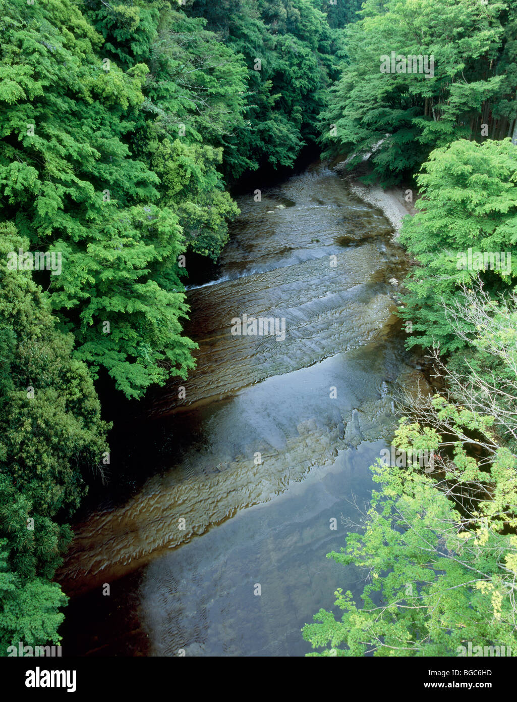 Otaki hi-res stock photography and images - Alamy