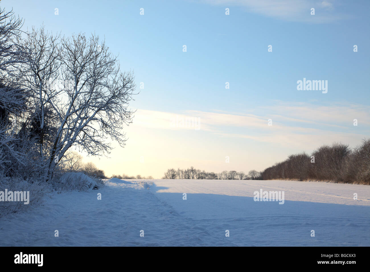 Snow covered Cambridgeshire field Stock Photo - Alamy