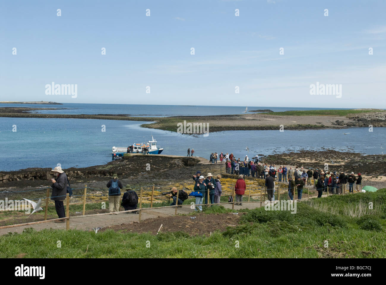 Visitors arriving from boats. on Inner Farne, The Farne Islands ...