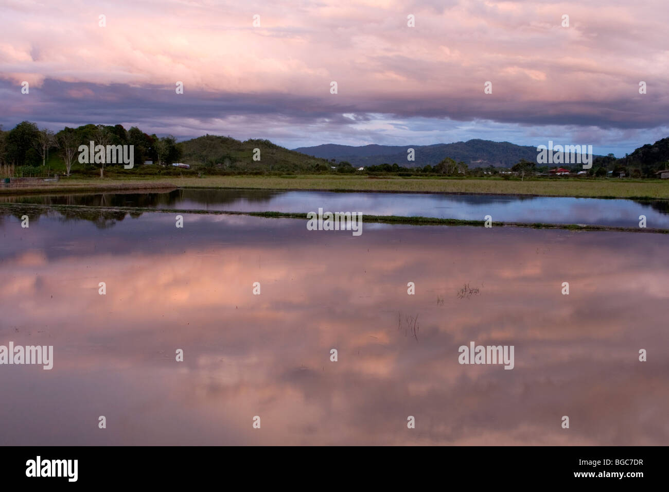 Fallow and waterlogged rice fields during sunset in Bario at the ...