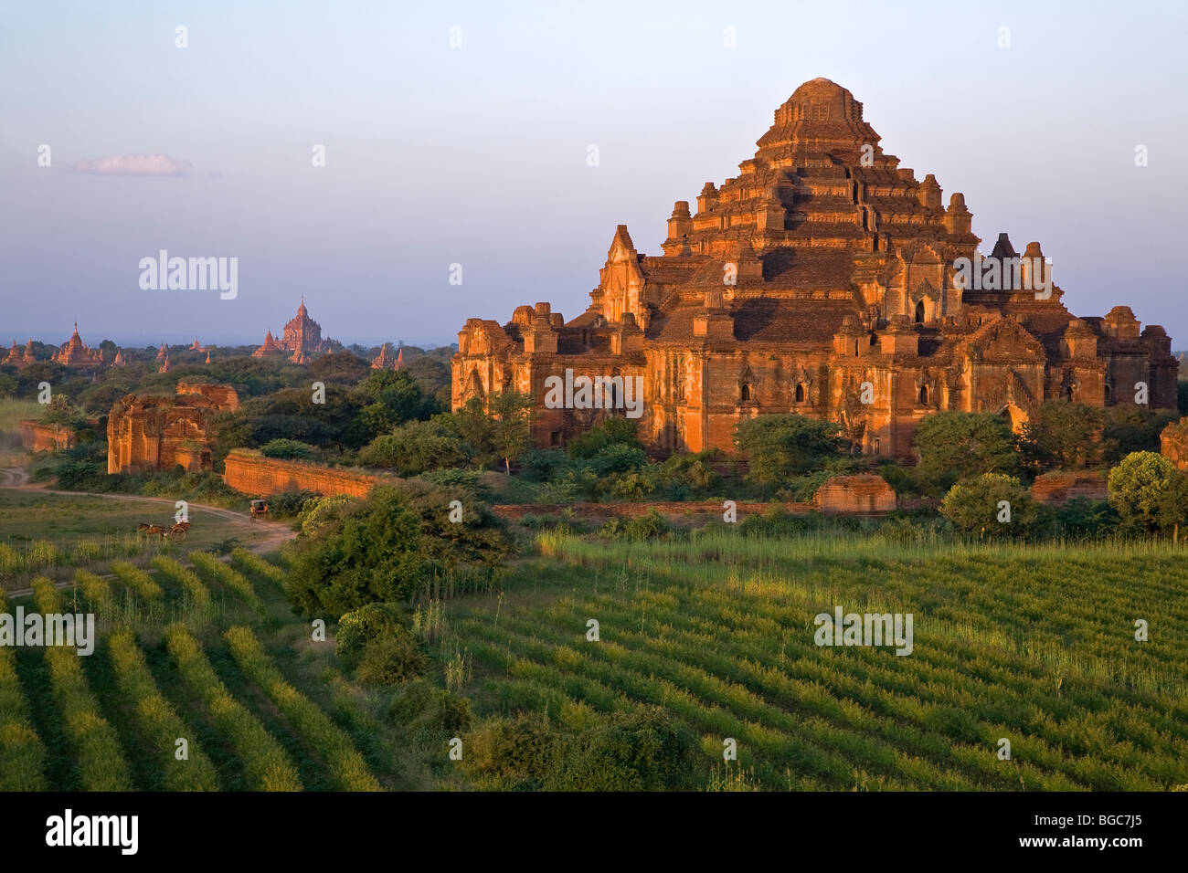 Dhammayangyi Temple at dusk. Bagan. Myanmar Stock Photo - Alamy
