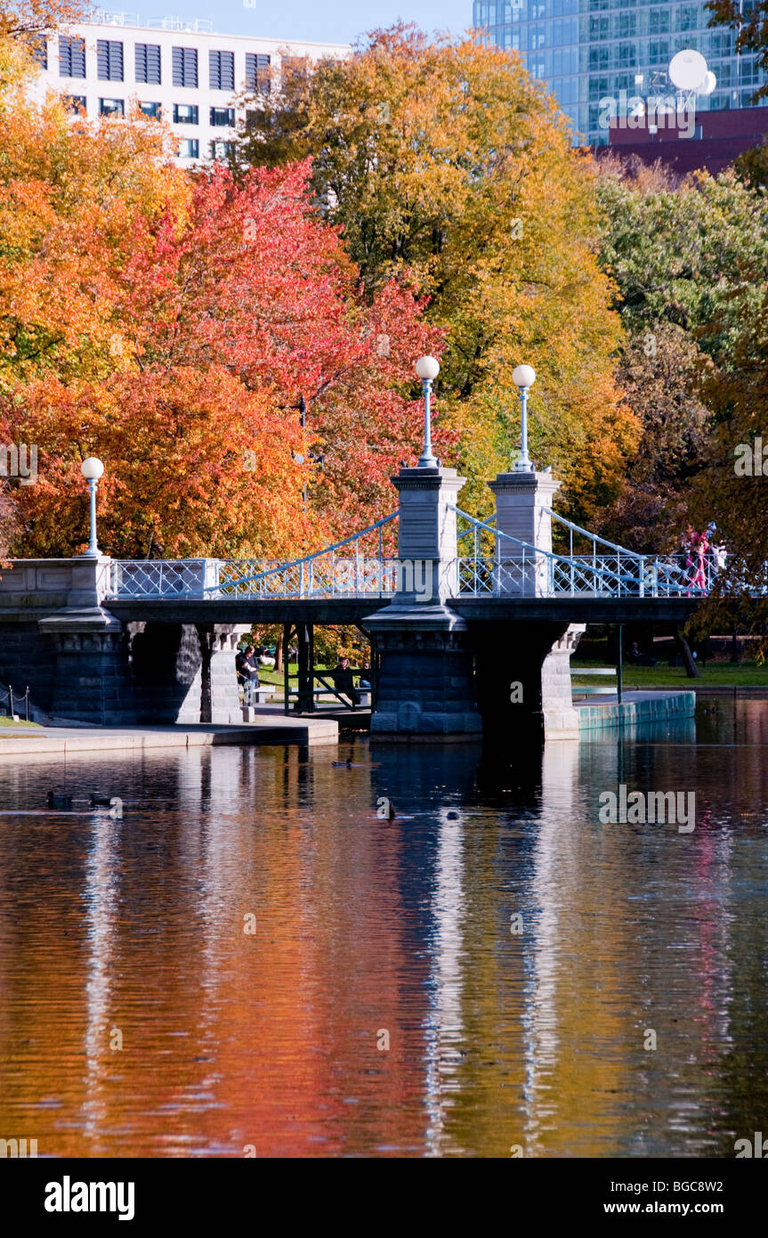 Boston common trees walking hi-res stock photography and images - Alamy