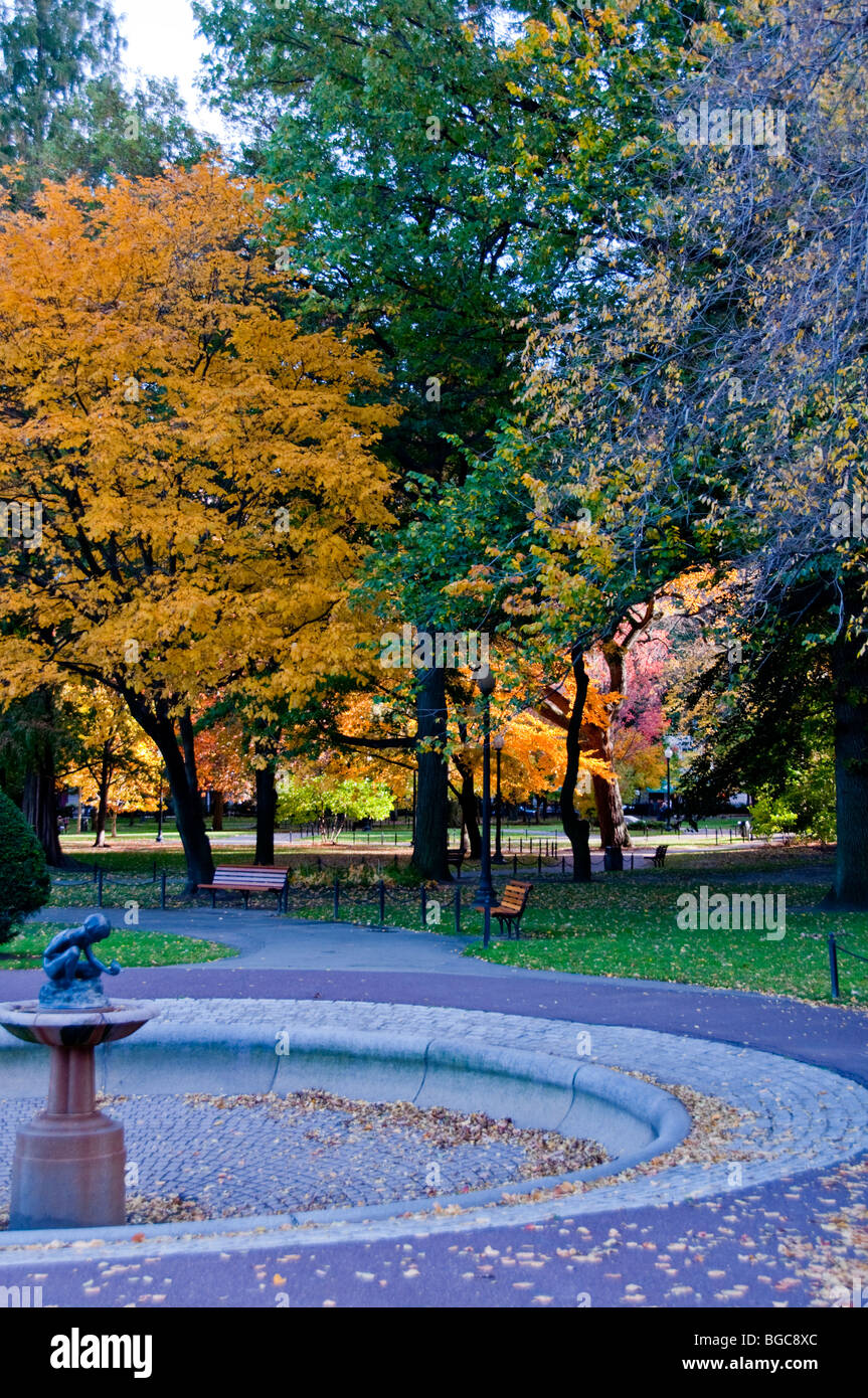 Boston common trees walking hi-res stock photography and images - Alamy