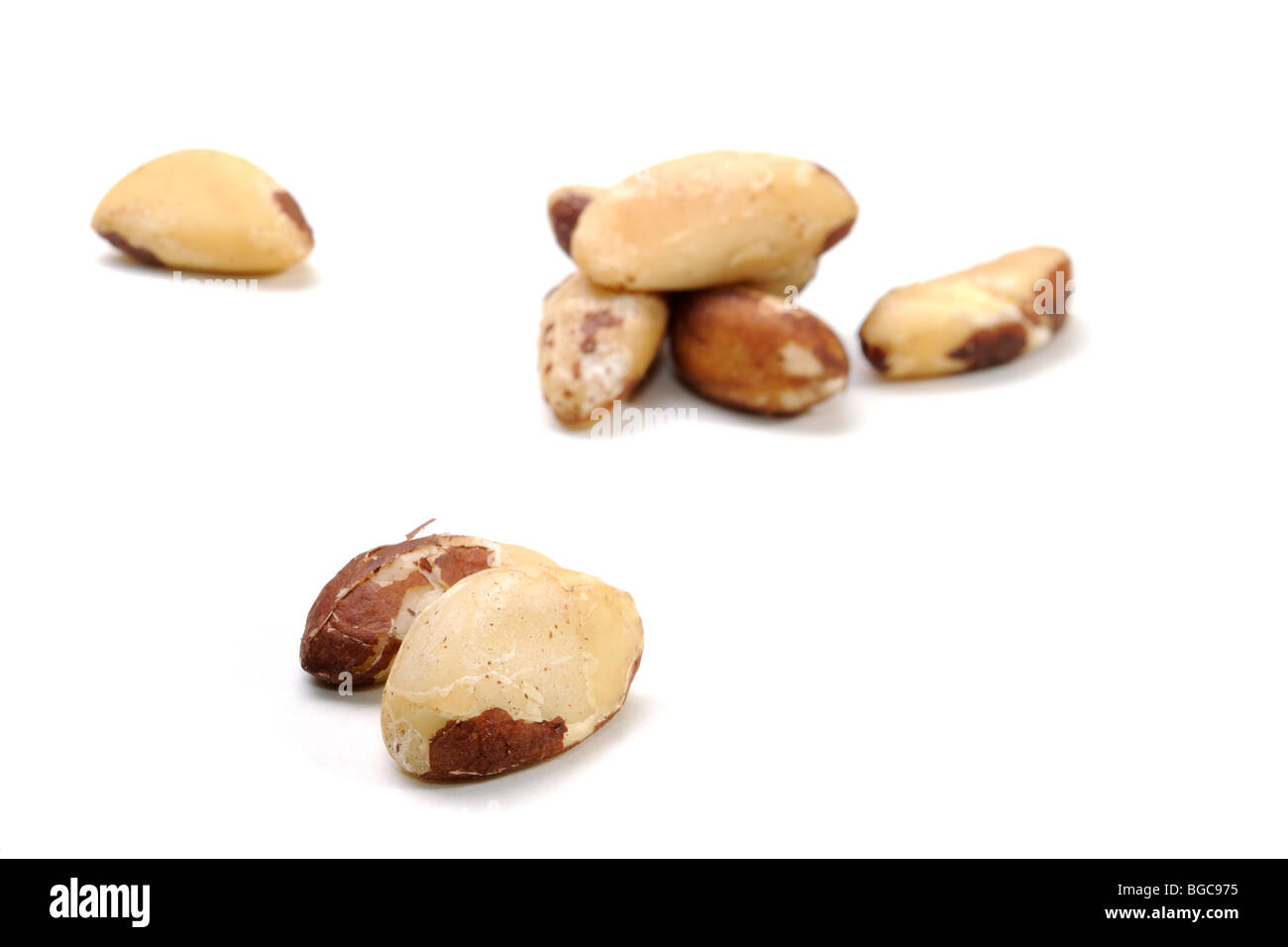 Bertholletia excelsa hi-res stock photography and images - Alamy