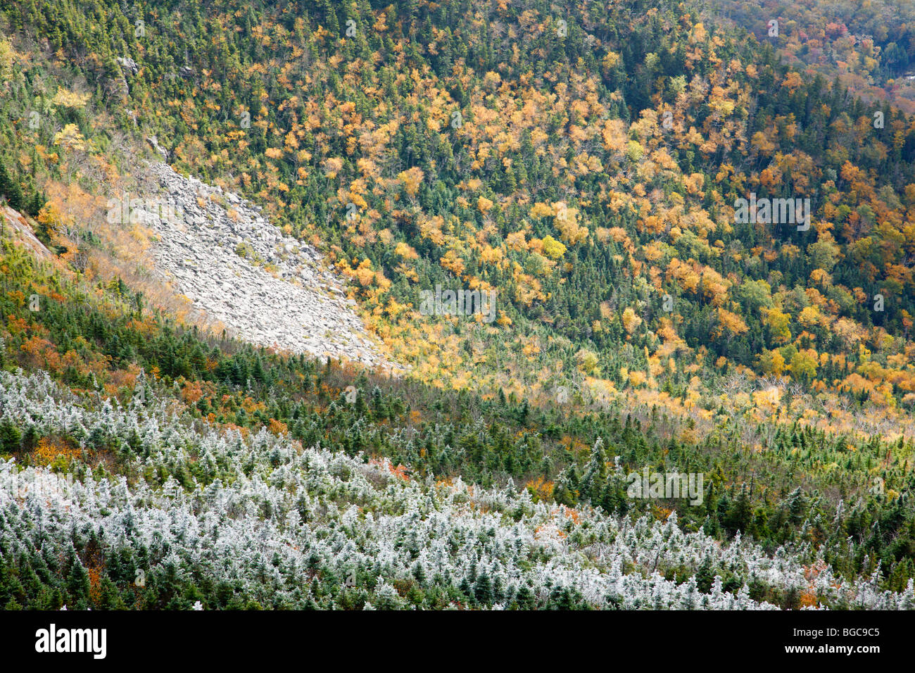 Franconia Notch State Park - Scenic views along the Rim Trail on the ...