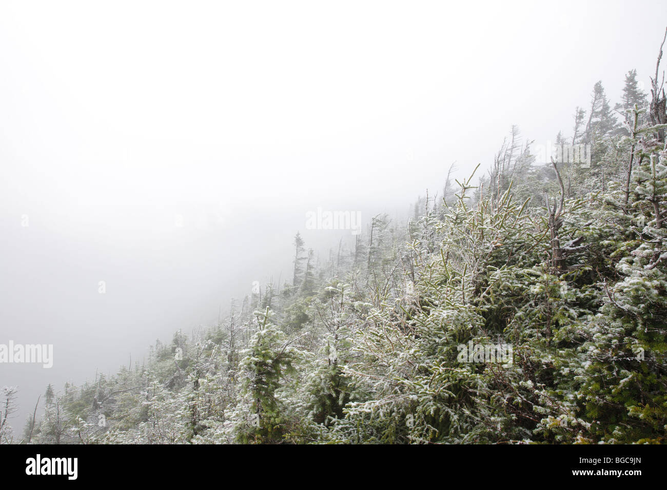 Franconia Notch State Park - Scenic views along the Rim Trail on the ...