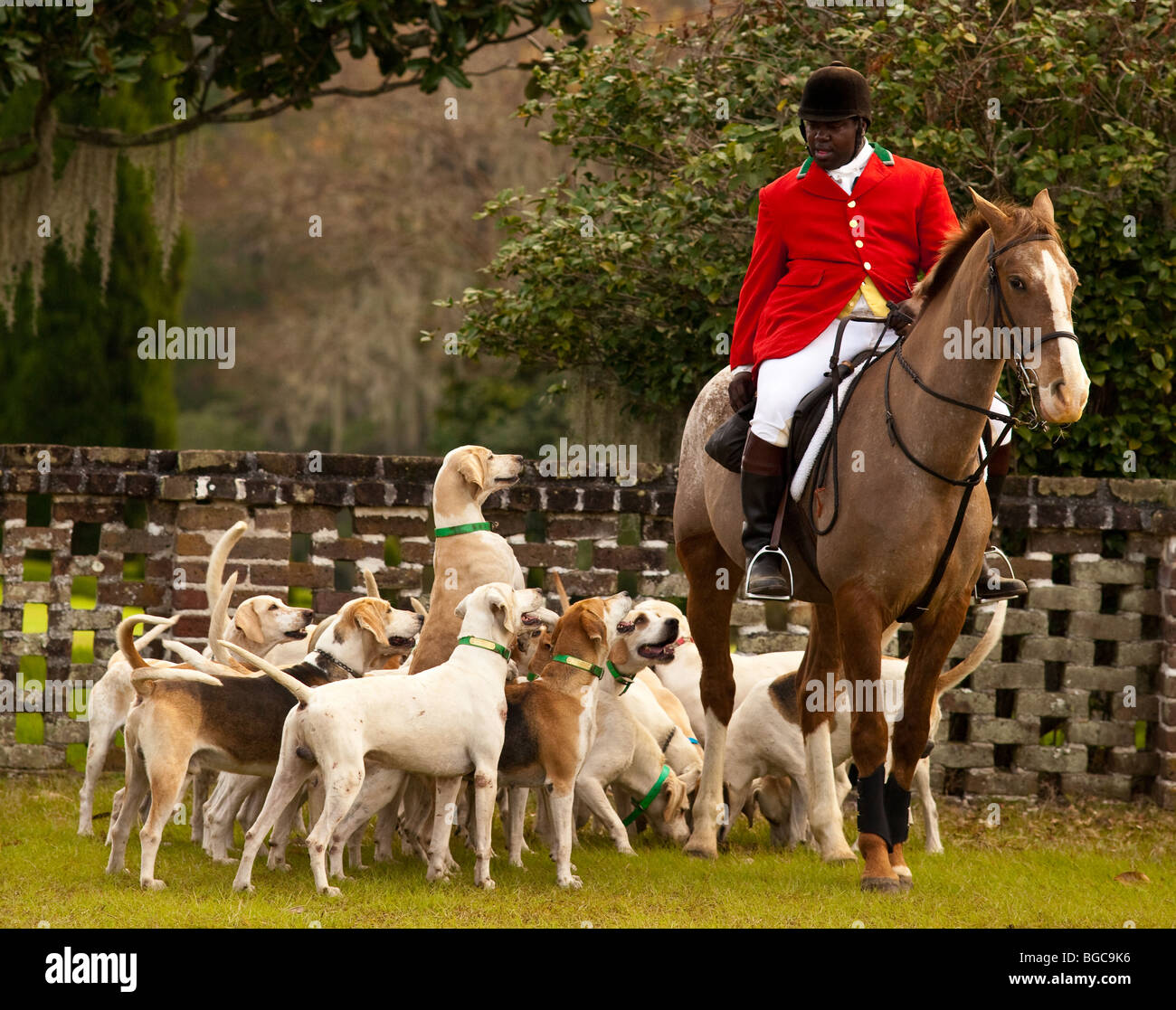 Master of the hounds at the Middleton Place Fox Hunt on the greensward ...