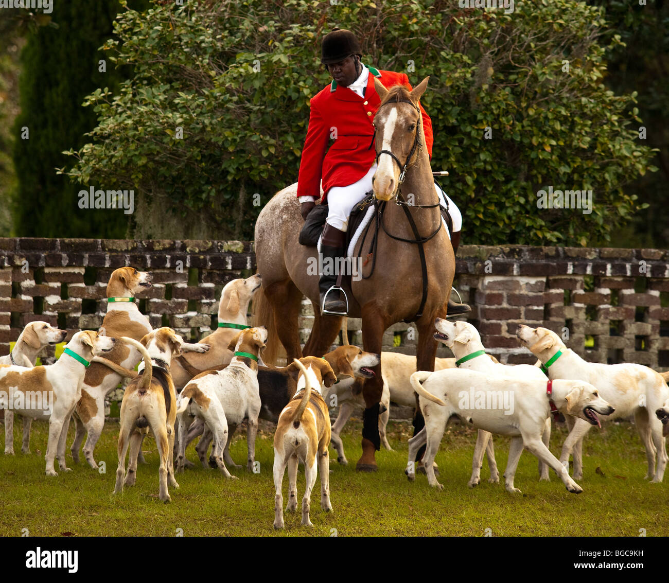 Master of the hounds at the Middleton Place Fox Hunt on the greensward ...