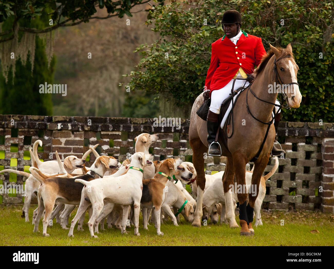 Master of the hounds at the Middleton Place Fox Hunt on the greensward ...