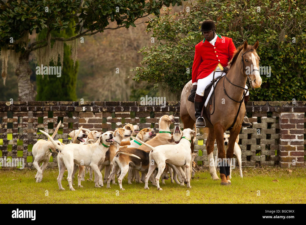 Master of the hounds at the Middleton Place Fox Hunt on the greensward ...