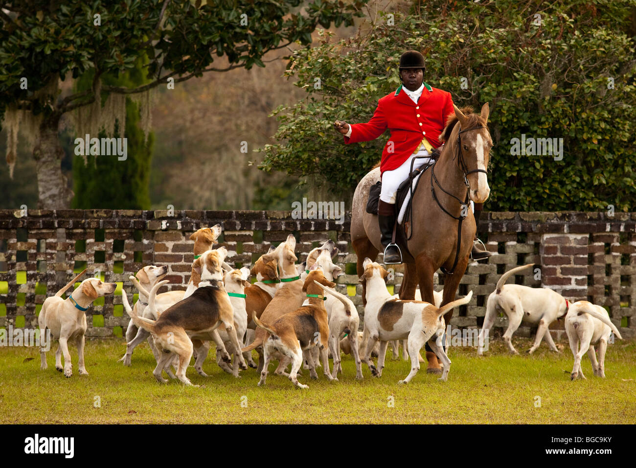 Fox Hunt Stock Photos & Fox Hunt Stock Images - Alamy