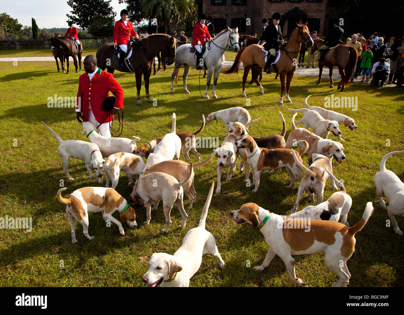 Master of the hounds at the Middleton Place Fox Hunt before the start ...
