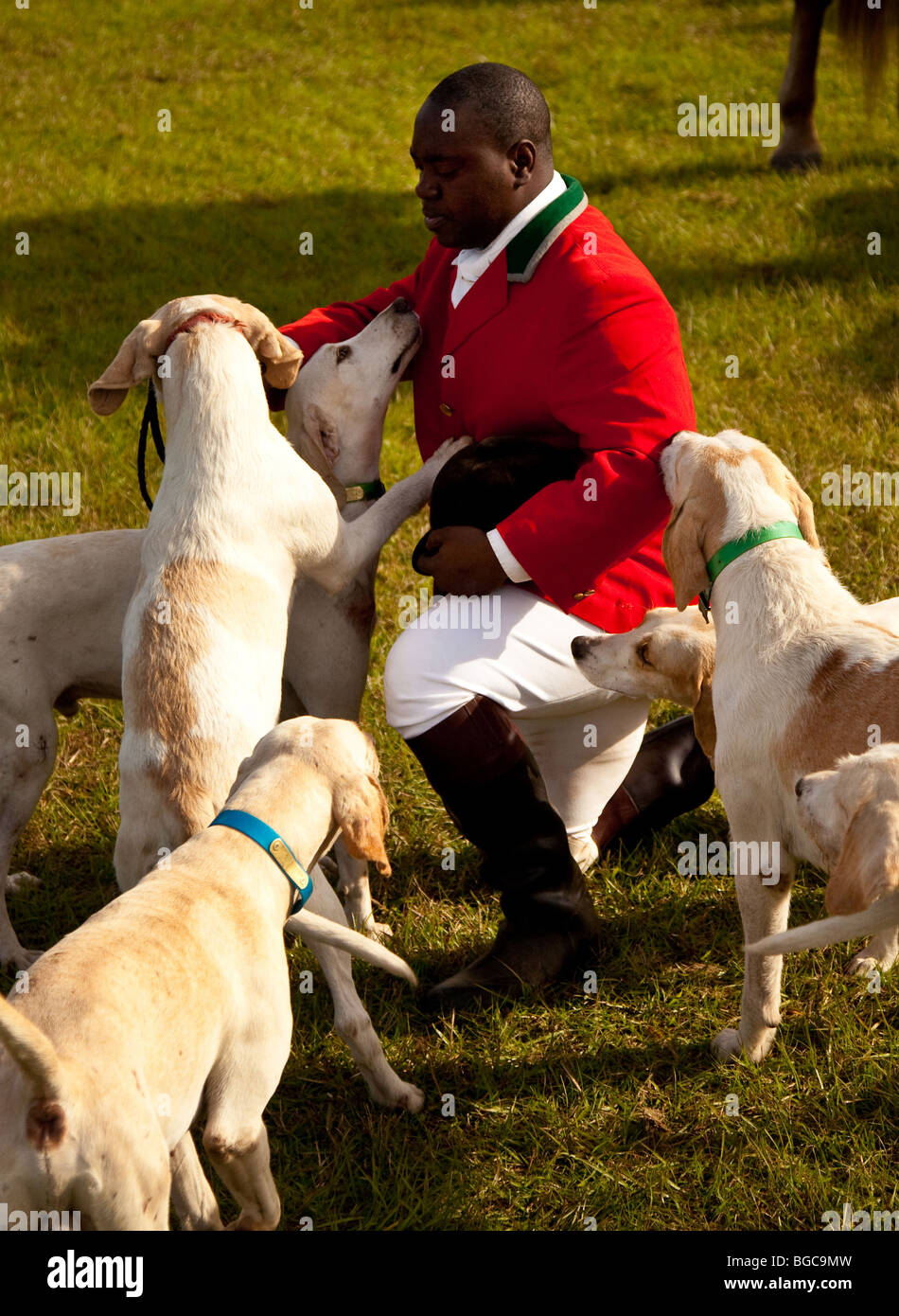 Master of fox hunt hi-res stock photography and images - Alamy