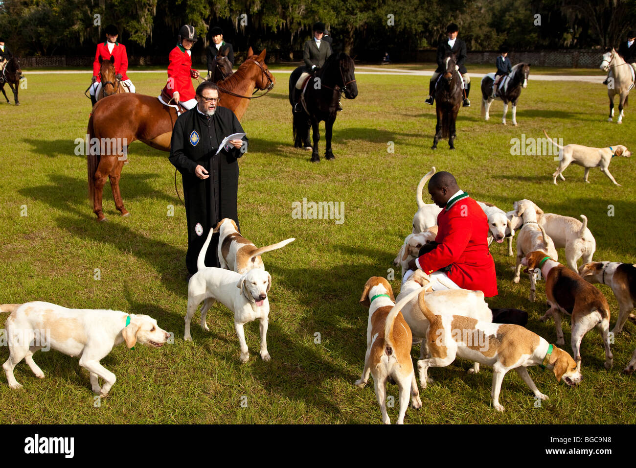 Foxhounds group hi-res stock photography and images - Alamy