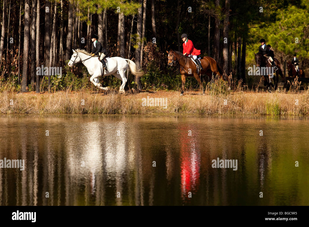 Fox hunters lead the hounds at the Middleton Place Fox Hunt at ...