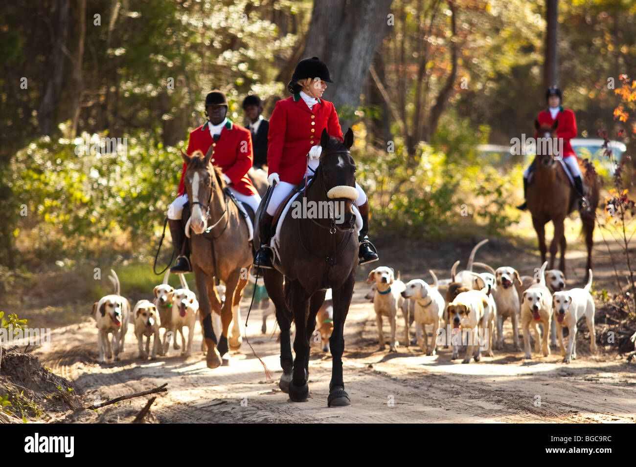 Usa sport hunting hi-res stock photography and images - Alamy