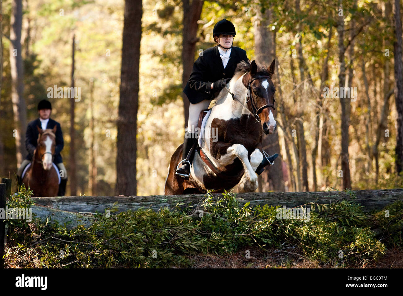 A fox hunter clears a wall during the Middleton Place foxhunt at ...