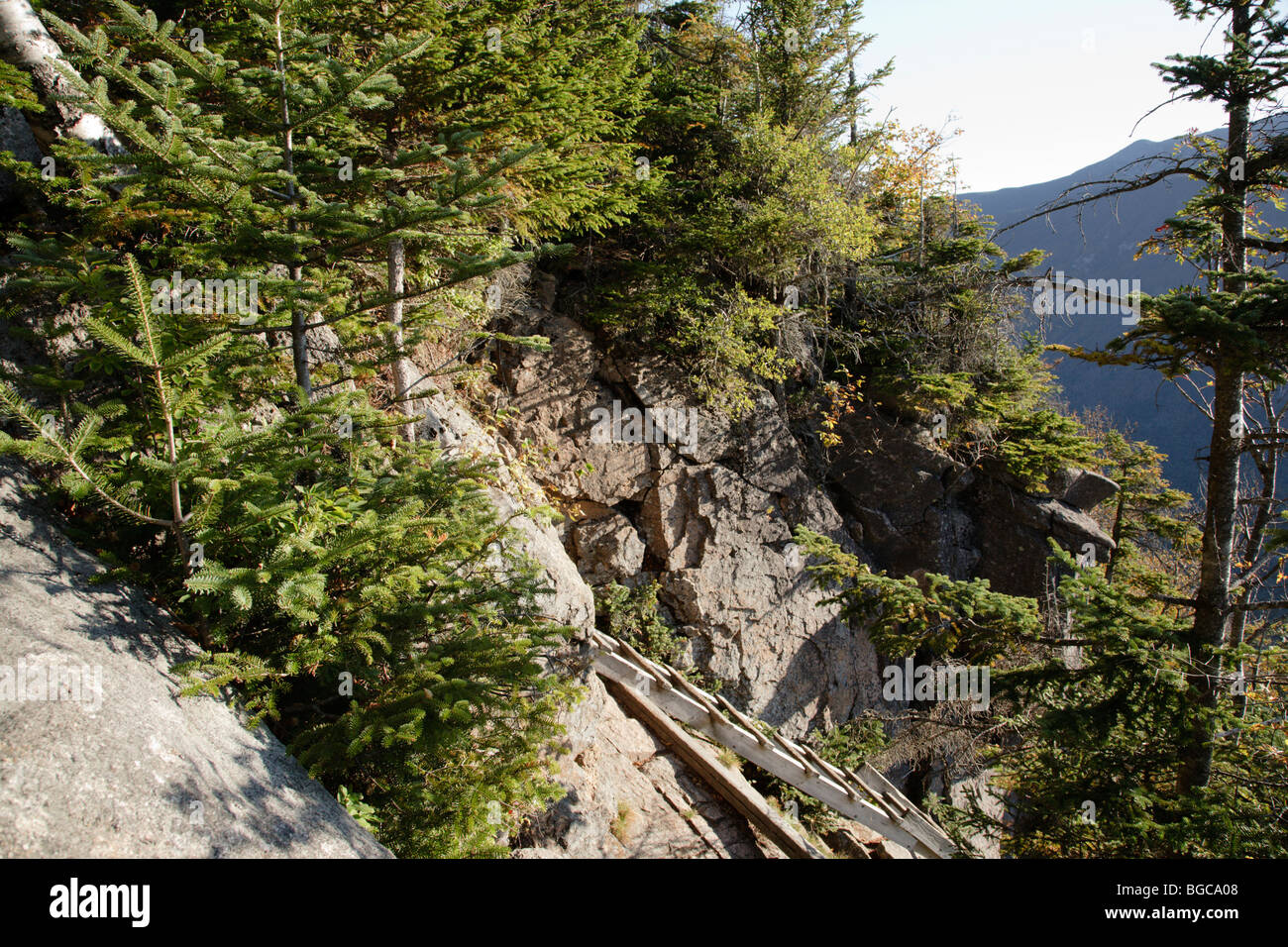 Franconia Notch State Park - Trail ladder along the Hi-Cannon Trail ...